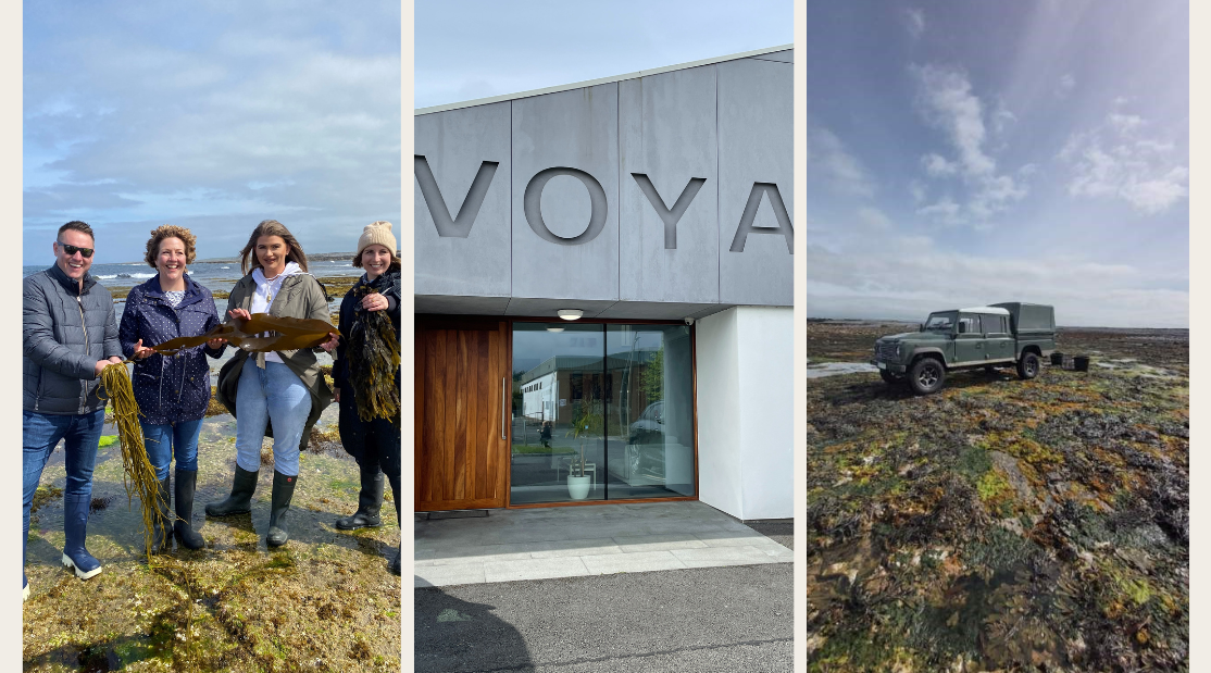 Behind-The-Scenes at VOYA | Barons Eden